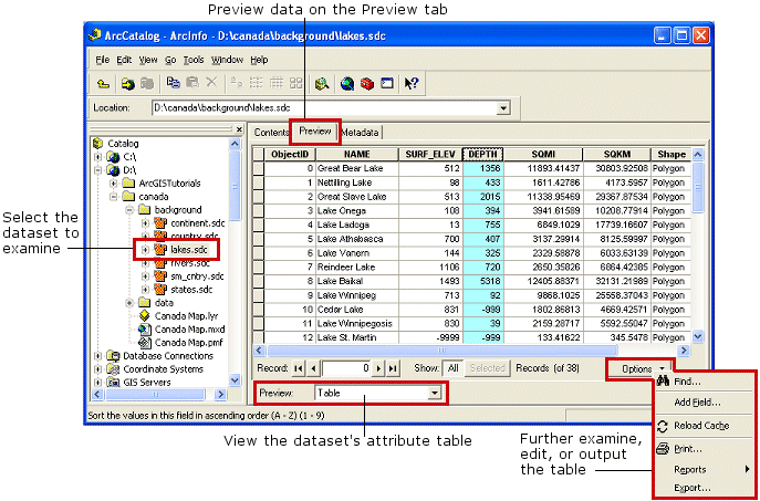 ArcGIS Desktop Help 9.2 - an overview of arccatalog