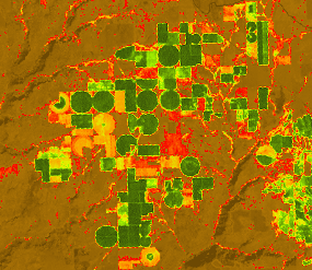 ArcGIS Desktop Help 9.2 - Using the NDVI process