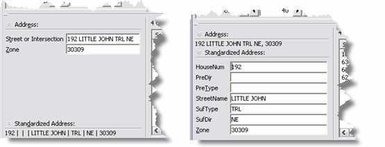 The Address and Standardization panel