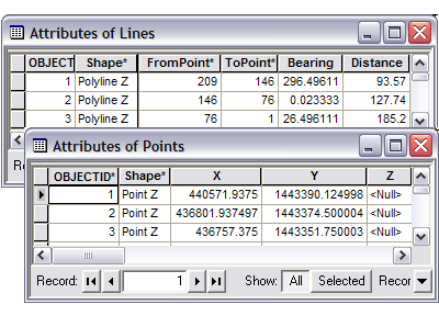 Attribute tables of parcel lines and parcel points